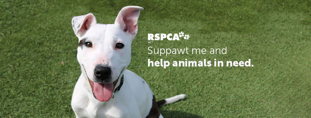 RSPCA ACT : Resources